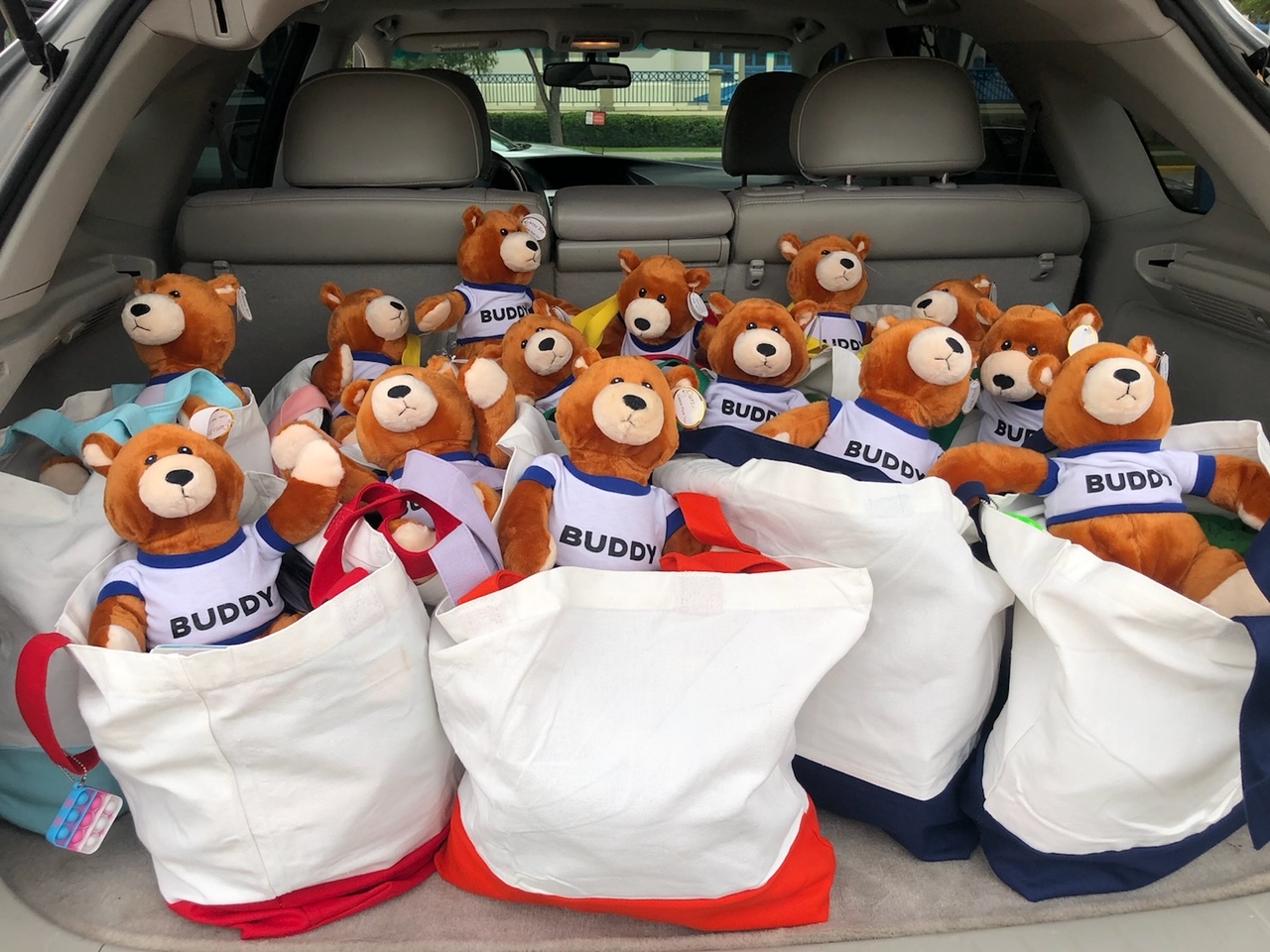 Buddy Cares | Leukemia Texas